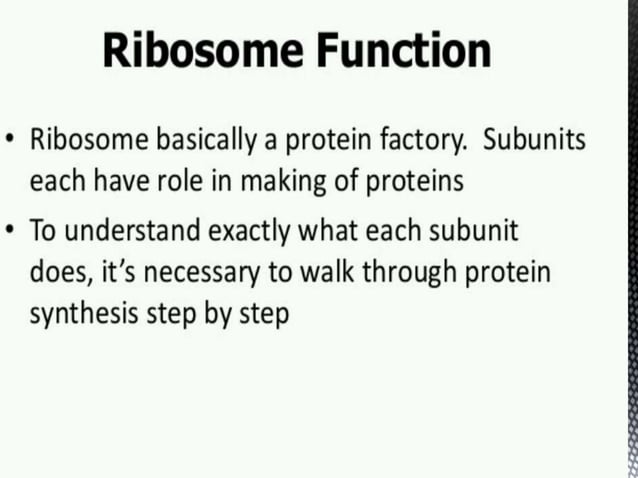 Ribosome structure and functions.ppt