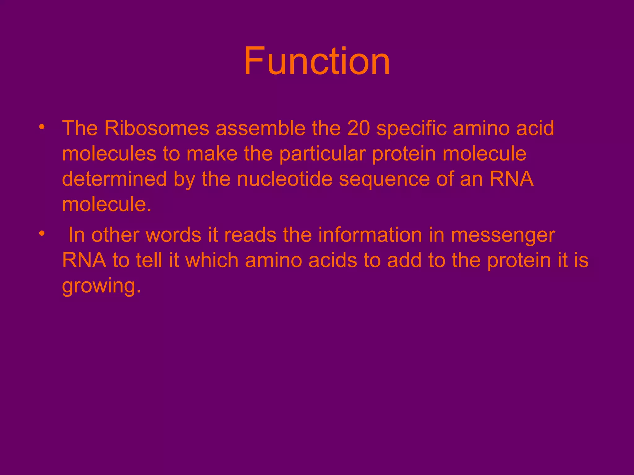 Ribosomes | PPT | Chemistry | Science