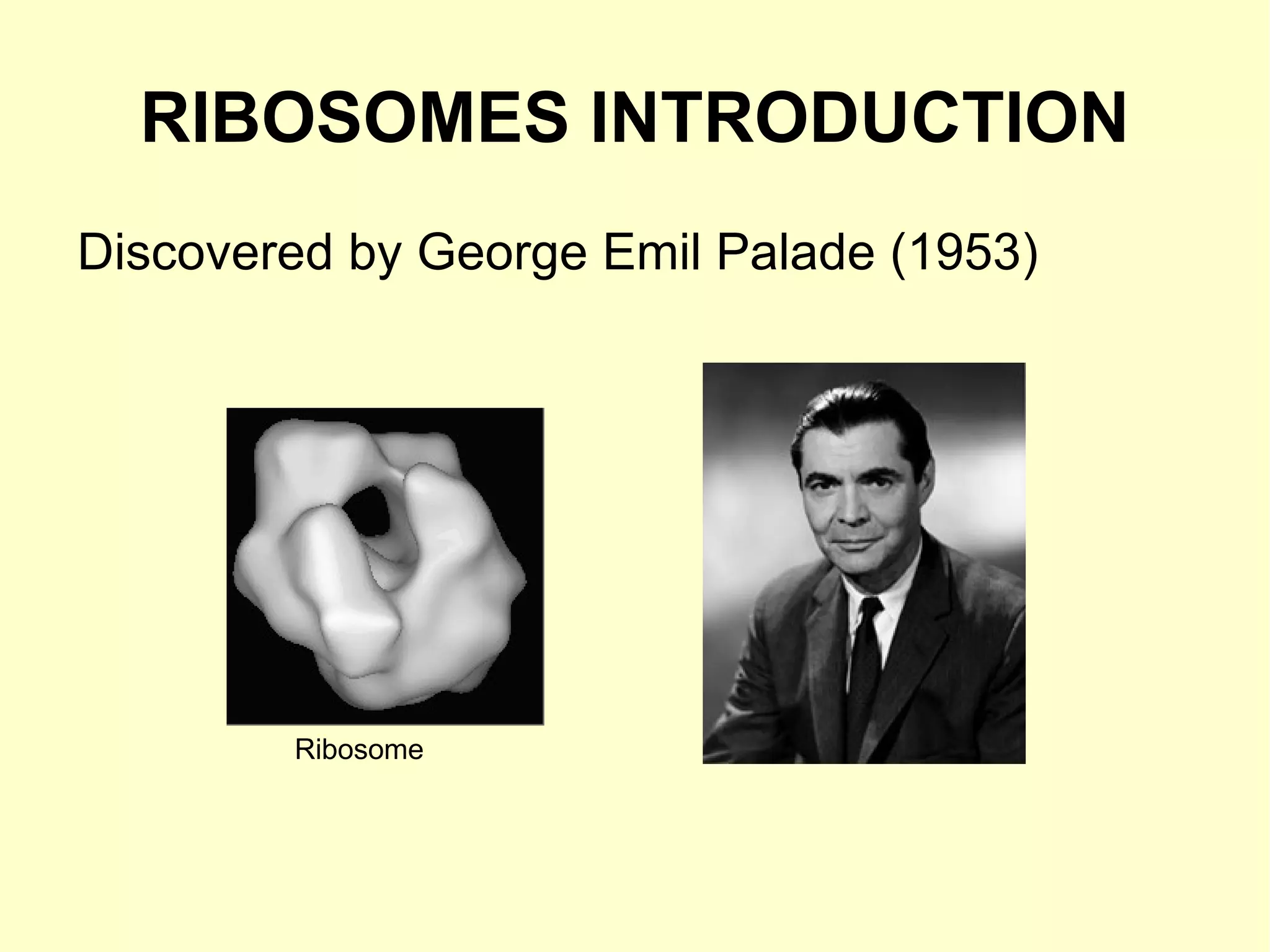 Ribosomes | ODP