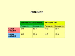 Ribosomes | ODP