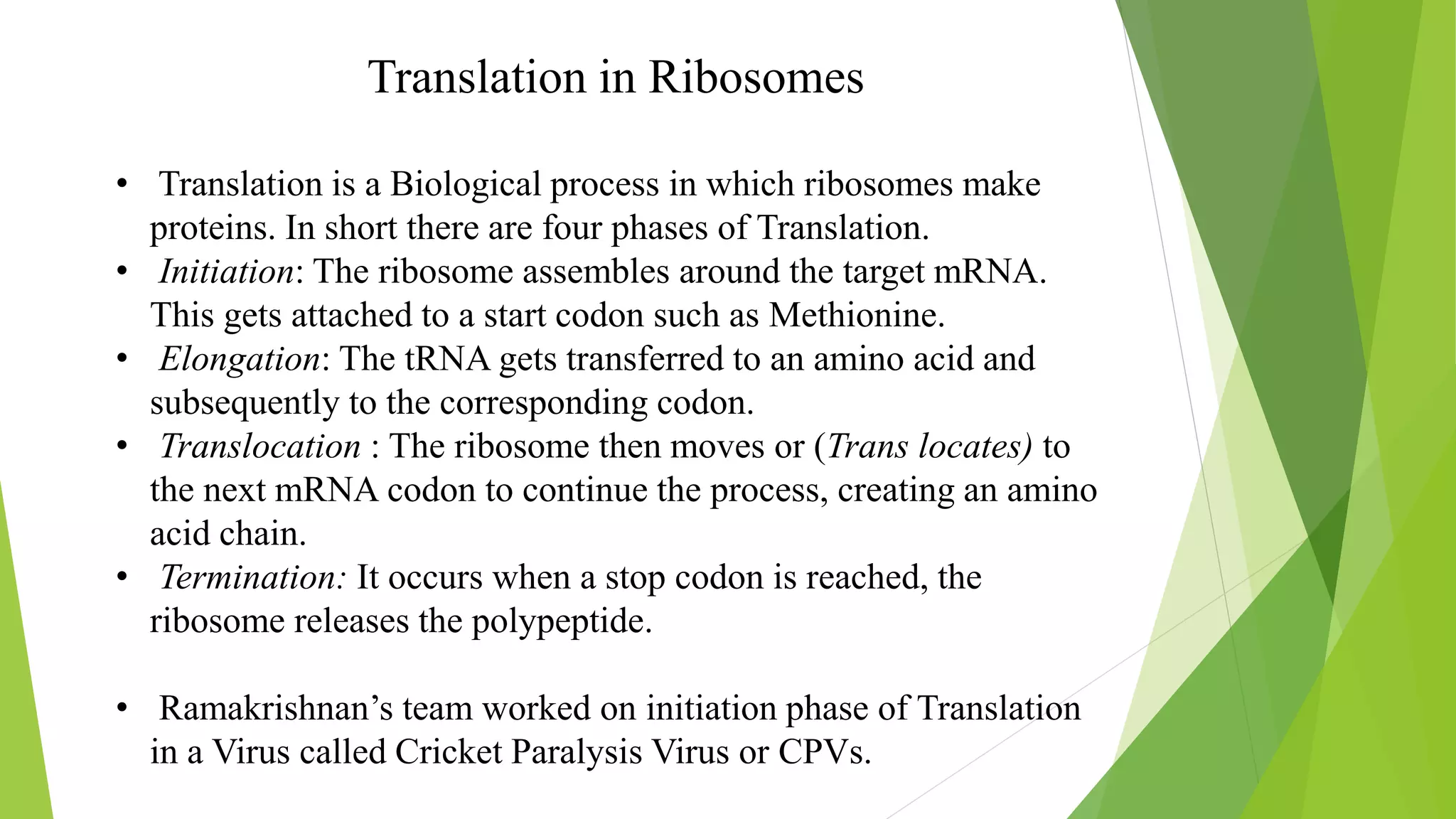 Ribosomes: Unravelling the structure of Protein Factories | PPTX