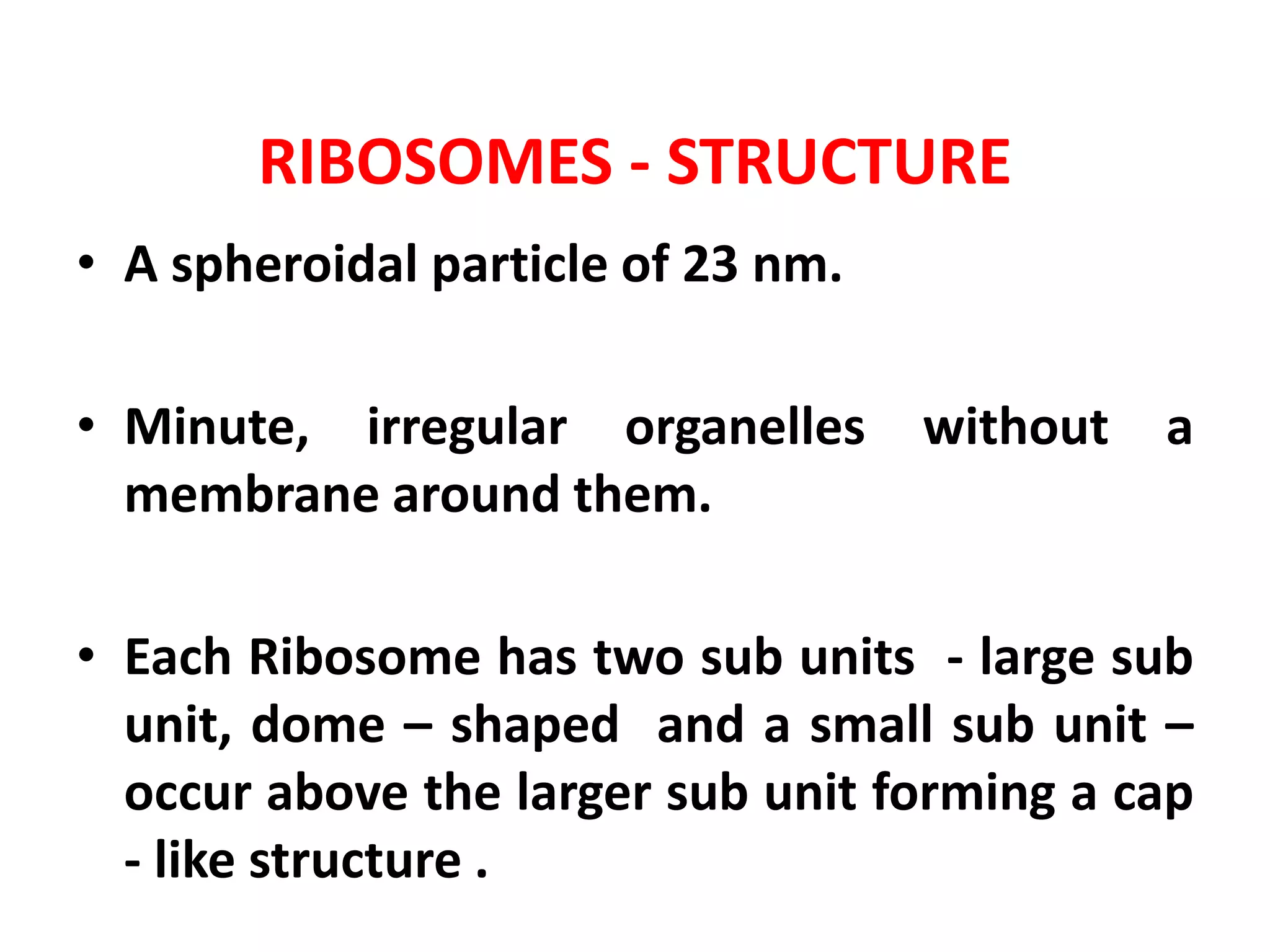 RIBOSOMES SMG | PPTX