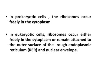 RIBOSOMES SMG | PPTX