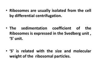 RIBOSOMES SMG | PPTX