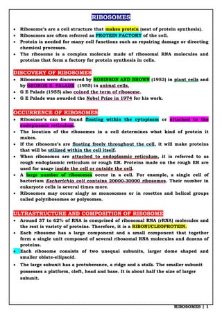 Ribosomes - Basics | PDF