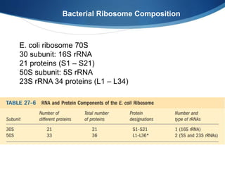 Ribosomes.pptx