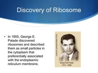 Ribosomes.pptx