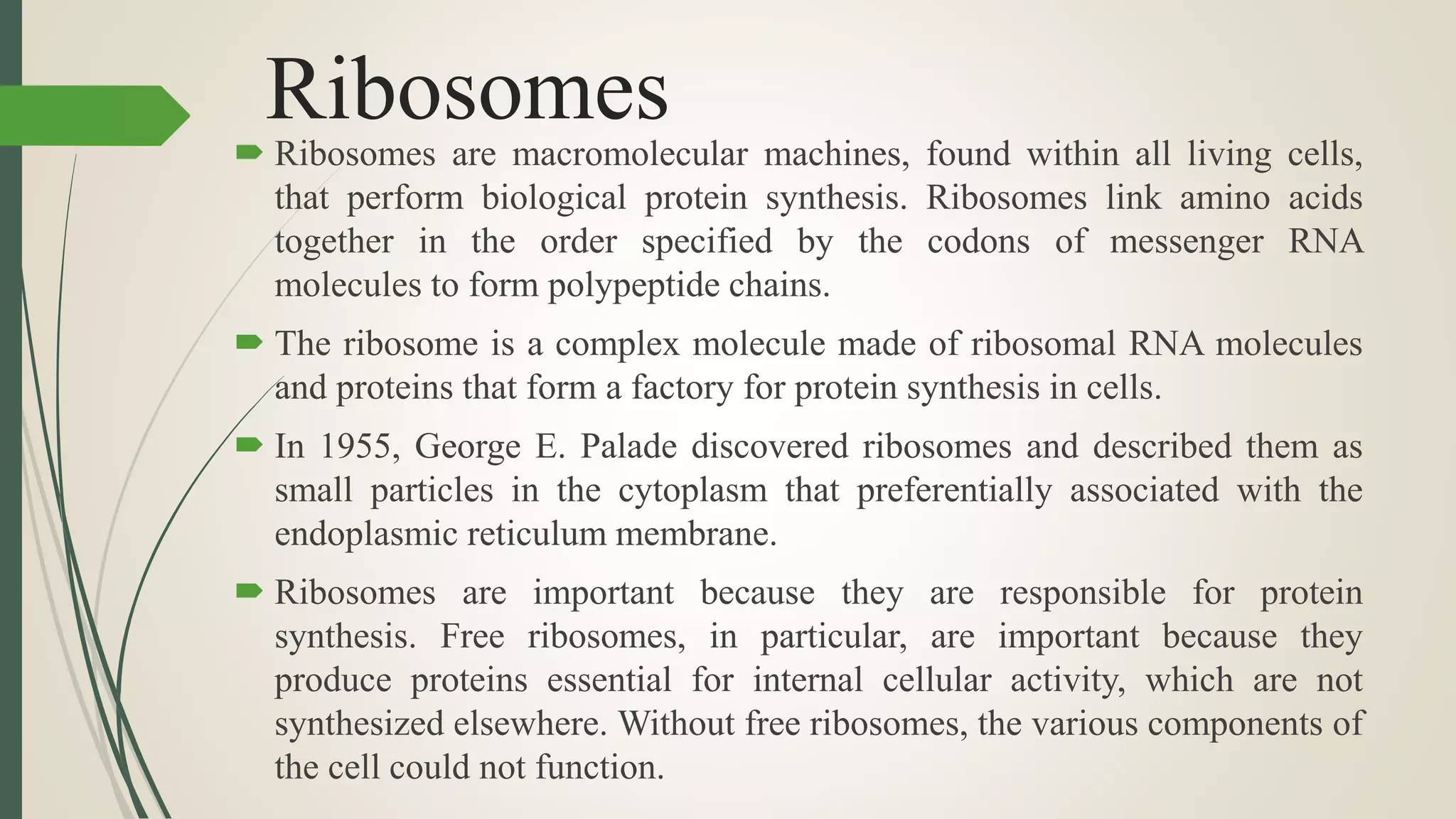 RIBOSOMES.pptx