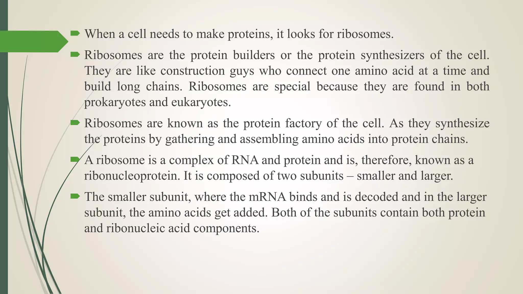 RIBOSOMES.pptx