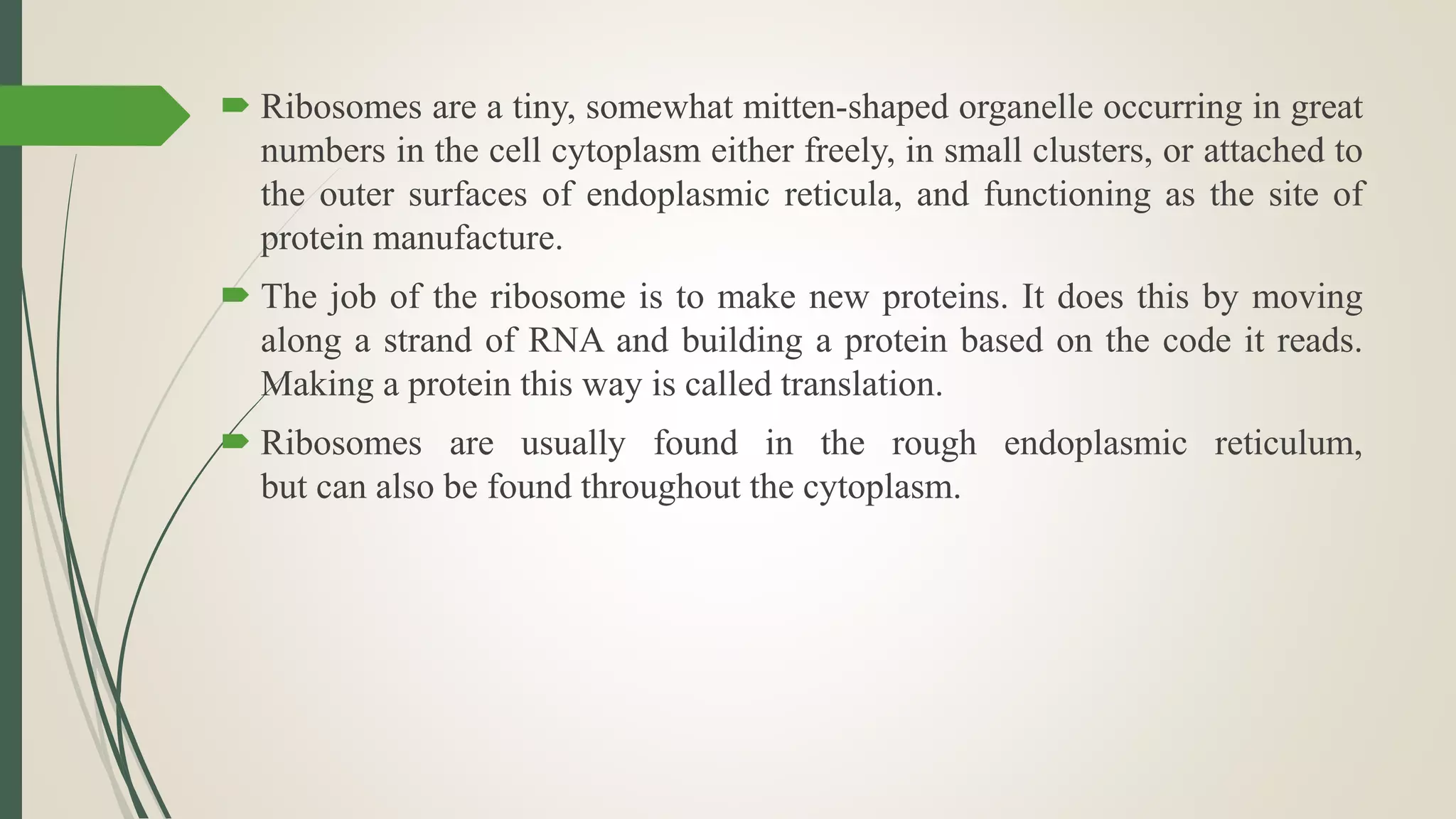 RIBOSOMES.pptx