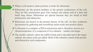 RIBOSOMES.pptx