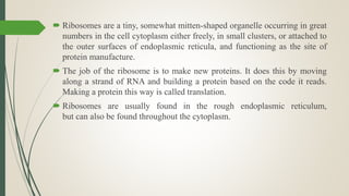 RIBOSOMES.pptx