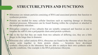 RIBOSOMES.pptx