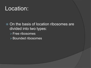 Ribosomes.pptx