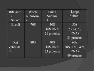 Ribosomes.pptx