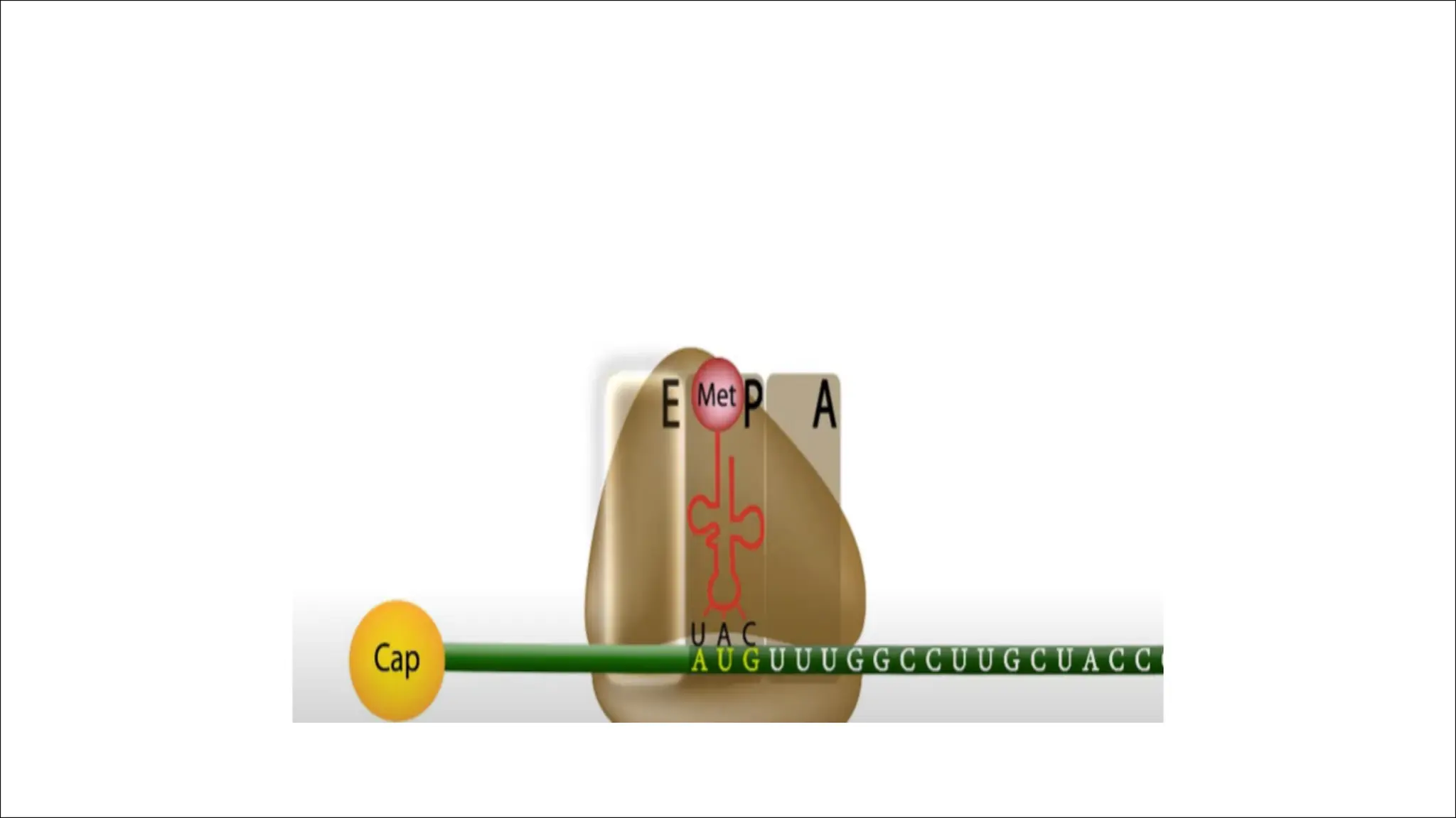Carbohydrates isomerism of carbohydrakkk | PDF