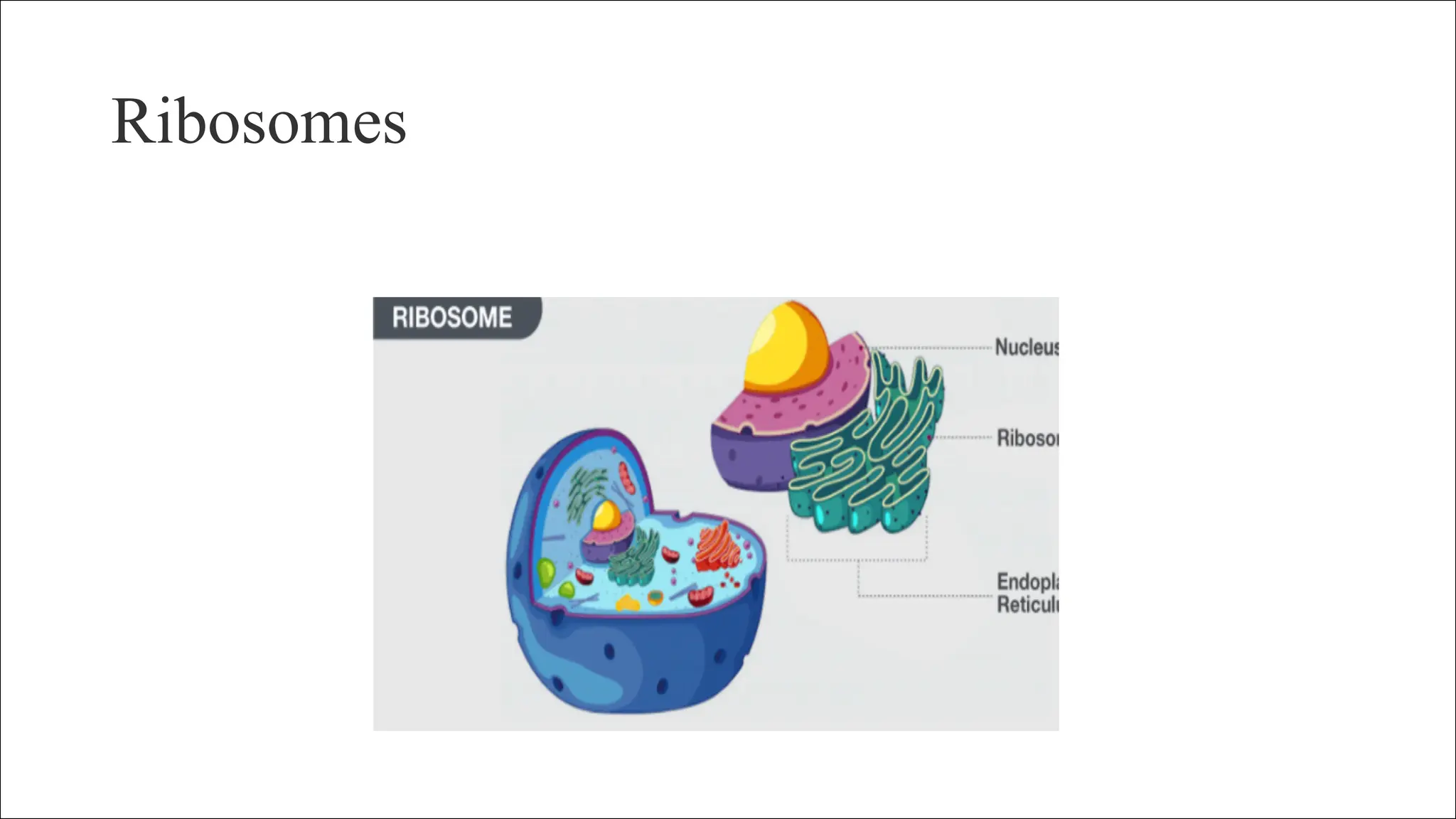 Carbohydrates isomerism of carbohydrakkk | PDF