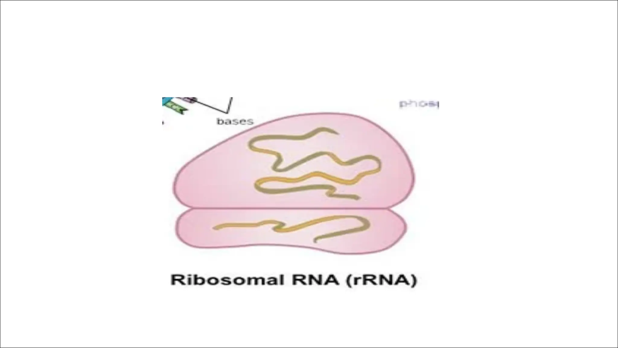 Carbohydrates isomerism of carbohydrakkk | PDF