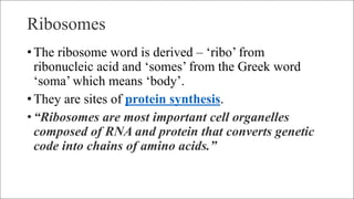 Carbohydrates isomerism of carbohydrakkk | PPT