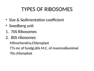 STRUCTURE,TYPES AND FUNCTIONS OF RIBOSOMES | PPTX
