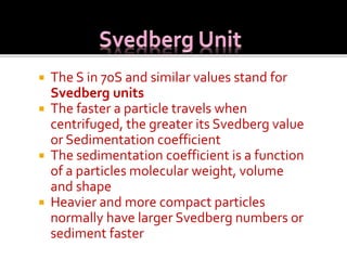 Ribosomes structure & function | PPTX