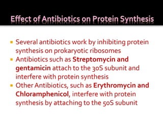 Ribosomes structure & function | PPTX