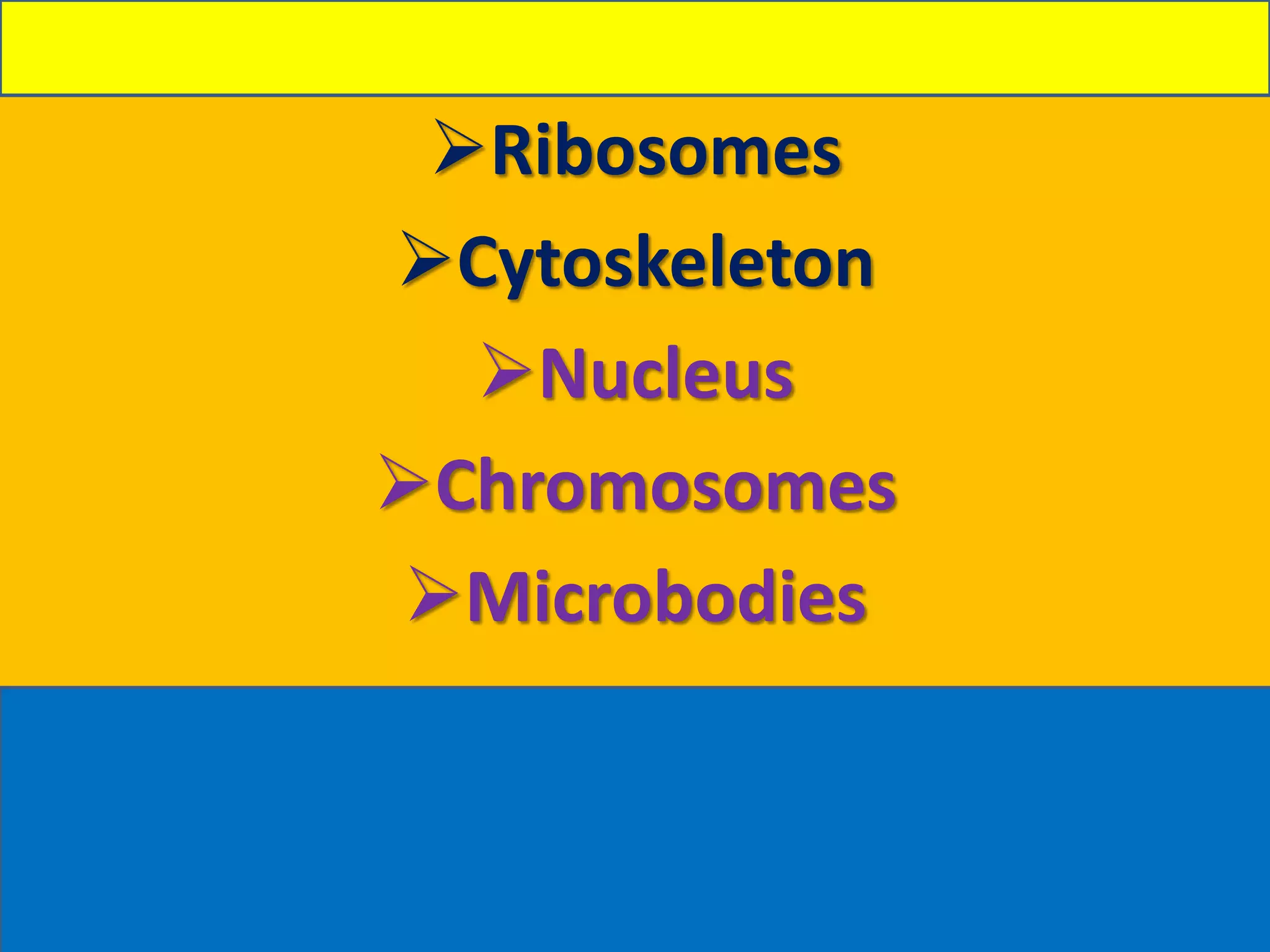 Ribosomes, cytoskeleton, Nucleus, Chromosomes, Microbodies | PPTX