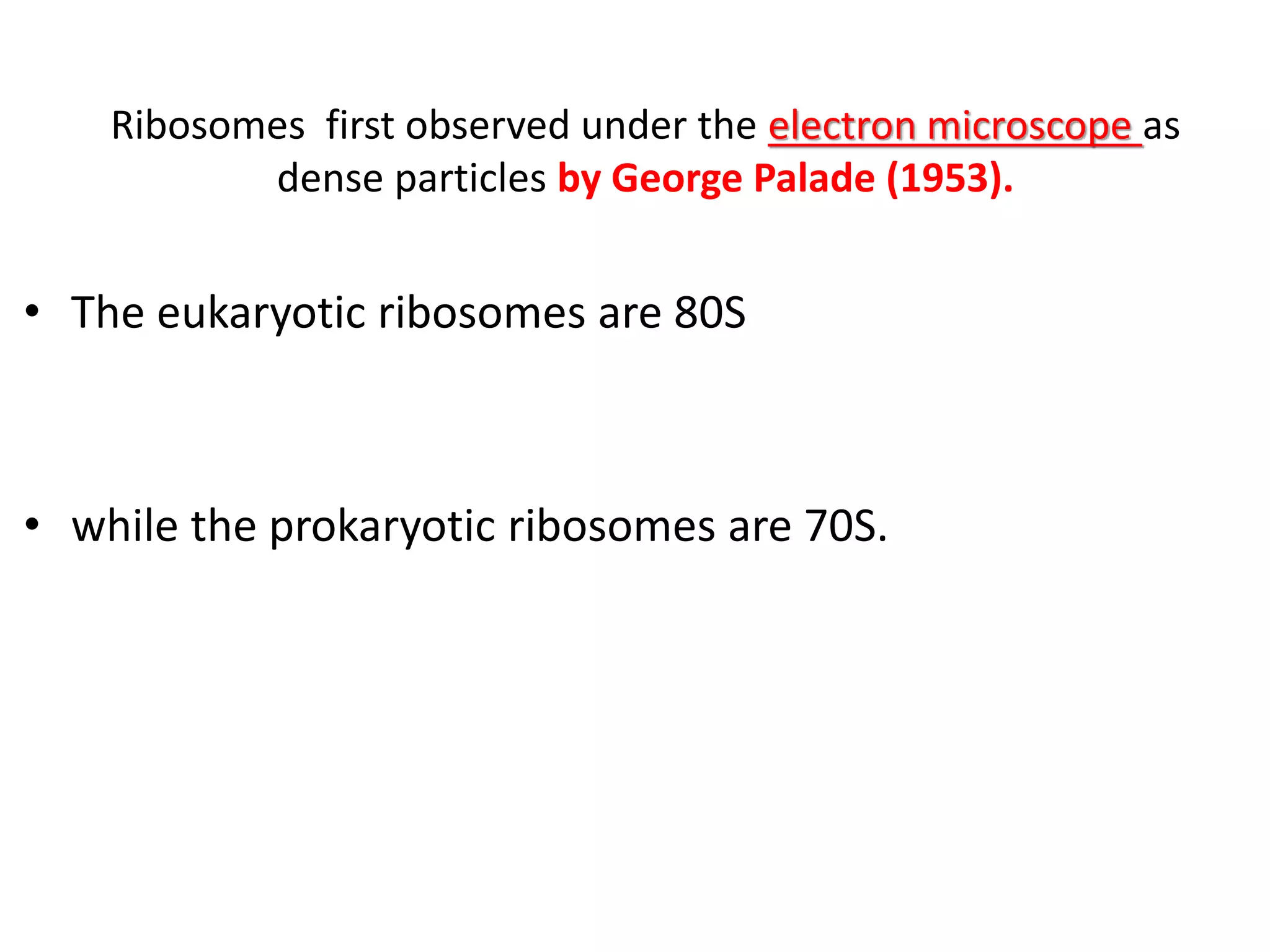 Ribosomes, cytoskeleton, Nucleus, Chromosomes, Microbodies | PPTX