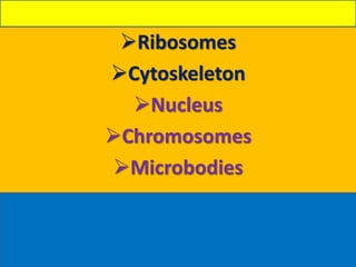 Ribosomes, cytoskeleton, Nucleus, Chromosomes, Microbodies | PPT