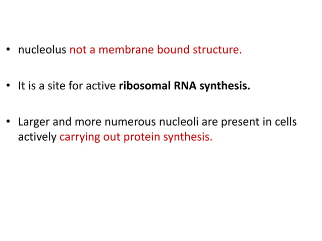 Ribosomes, cytoskeleton, Nucleus, Chromosomes, Microbodies | PPTX