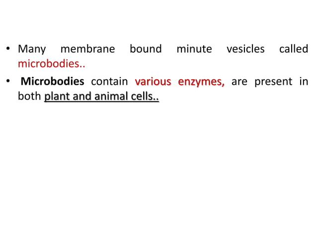 Ribosomes, cytoskeleton, Nucleus, Chromosomes, Microbodies | PPTX
