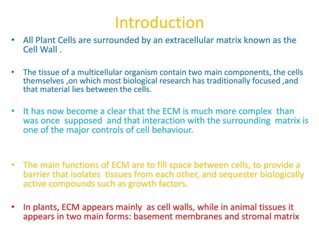 Ribosomes and extra cellular matrix | PPTX | Biological Sciences | Science