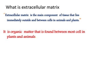 Ribosomes and extra cellular matrix | PPTX