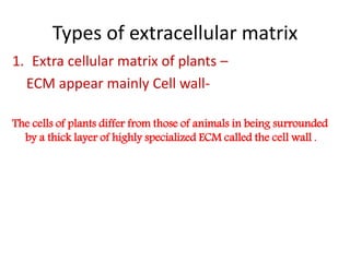 Ribosomes and extra cellular matrix | PPTX