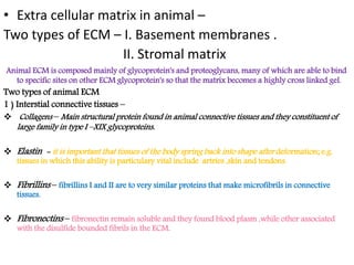 Ribosomes and extra cellular matrix | PPTX