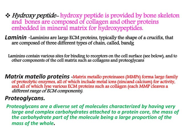 Ribosomes and extra cellular matrix | PPTX | Biological Sciences | Science