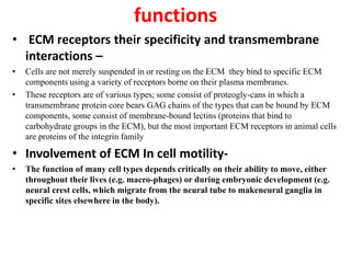 Ribosomes and extra cellular matrix | PPTX