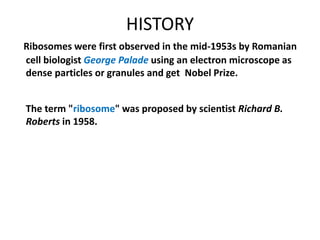 Ribosomes and extra cellular matrix | PPTX