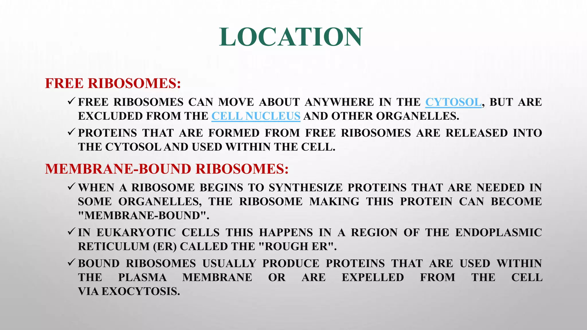 Ribosomes by kajal.pptx