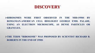 Ribosomes by kajal.pptx