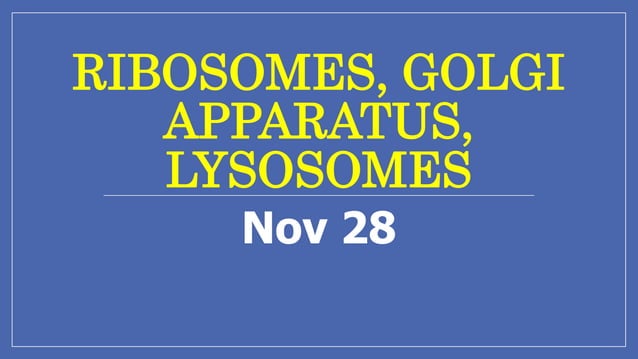 Ribosomes, golgi apparatus, lysosomes | PPTX