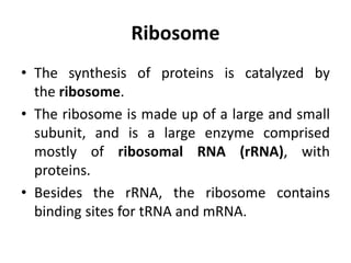 ribosomes, tRNA.pptx