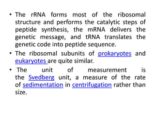 ribosomes, tRNA.pptx