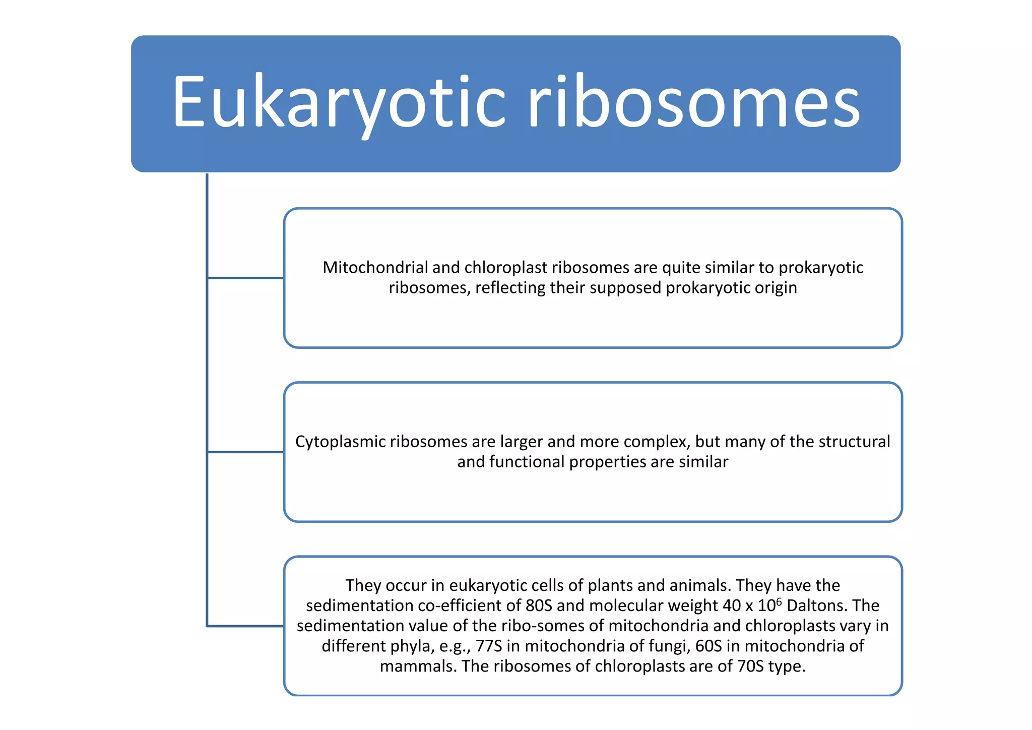 Ribosome structure and assembly | PDF