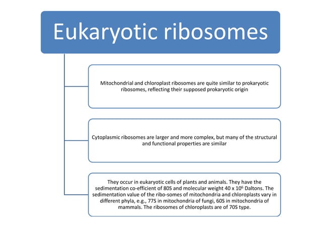 Ribosome structure and assembly | PDF | Biological Sciences | Science