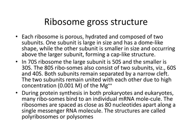 Ribosome structure and assembly | PDF | Biological Sciences | Science