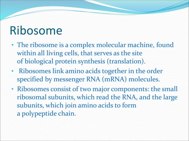 Ribosome ultra structure | PPT