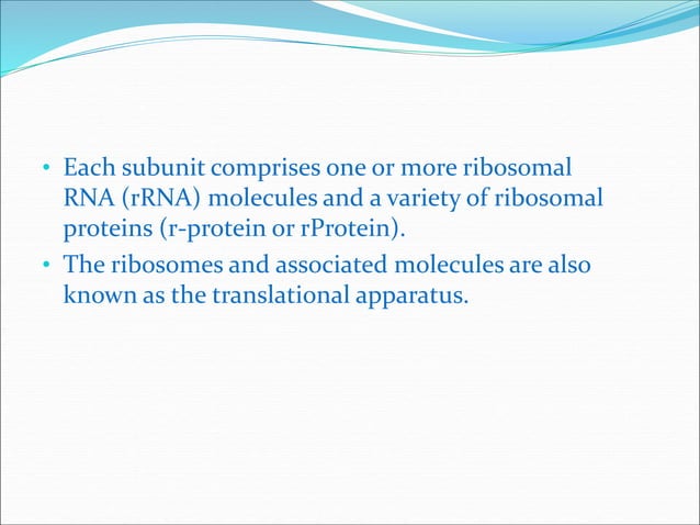Ribosome ultra structure | PPT