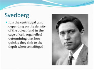 Ribosome ultra structure | PPT