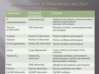 Riboswitches madiated regulaton | PPTX
